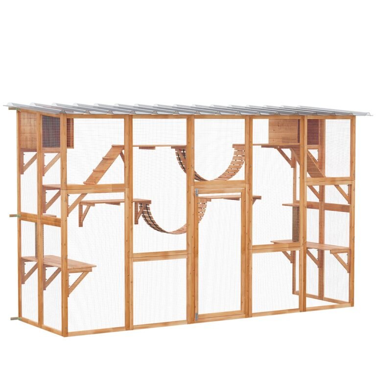 Cómo Crear un ‘Catio’ Seguro en Casa: La Guía Definitiva para el ...